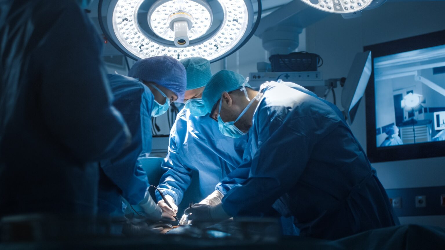 Programs – Memphis University